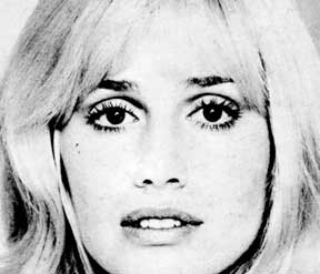 CD Vertriebsprogramm